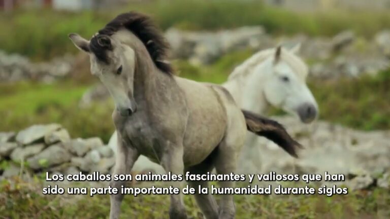 La fascinante historia del caballo