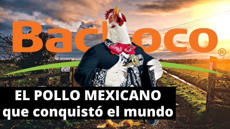 La historia de Bachoco: crecimiento y éxito en la industria avícola