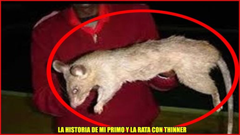 La historia de la rata con thinner