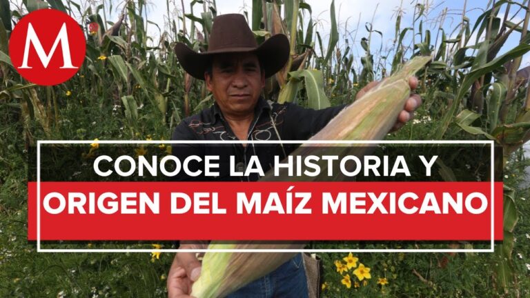La historia del maíz en México: desde sus orígenes hasta la actualidad