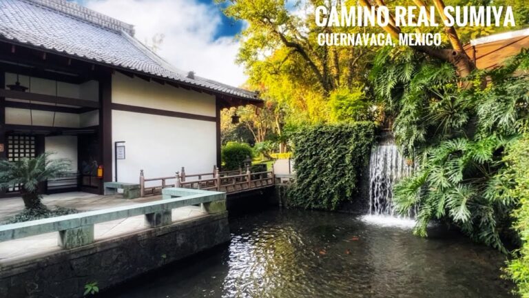 La historia de Sumiya en Cuernavaca