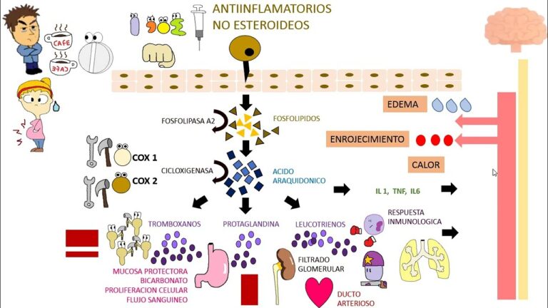 La historia de los AINES: analgésicos y antiinflamatorios no esteroides