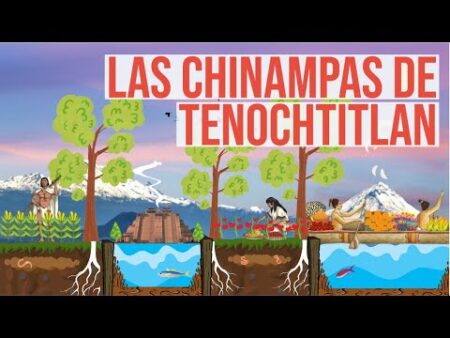 Descubre la fascinante historia de las chinampas: tradición ancestral y ...